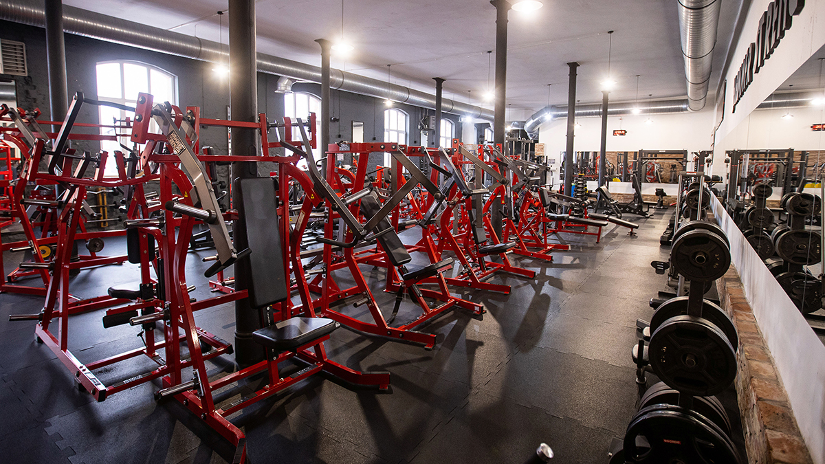 Oferta zajęć - Hammer Gym